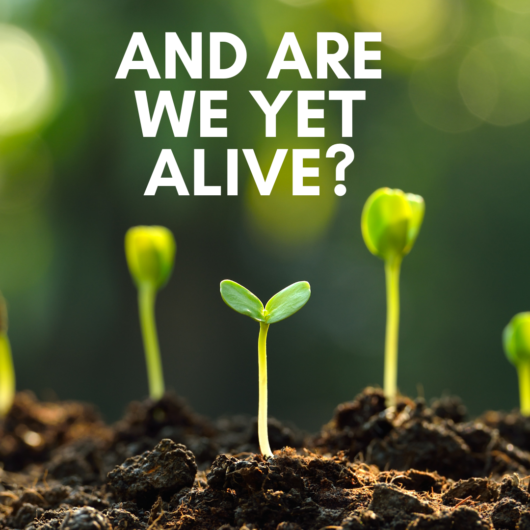 And Are We Yet Alive? – The Weight and the Wonder
